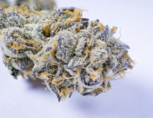 GIRL SCOUT COOKIES - Kine2b